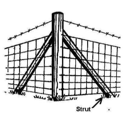 Jacksons Machine Rounded Fence Strut - 1.8m x 60mm - Buy Now